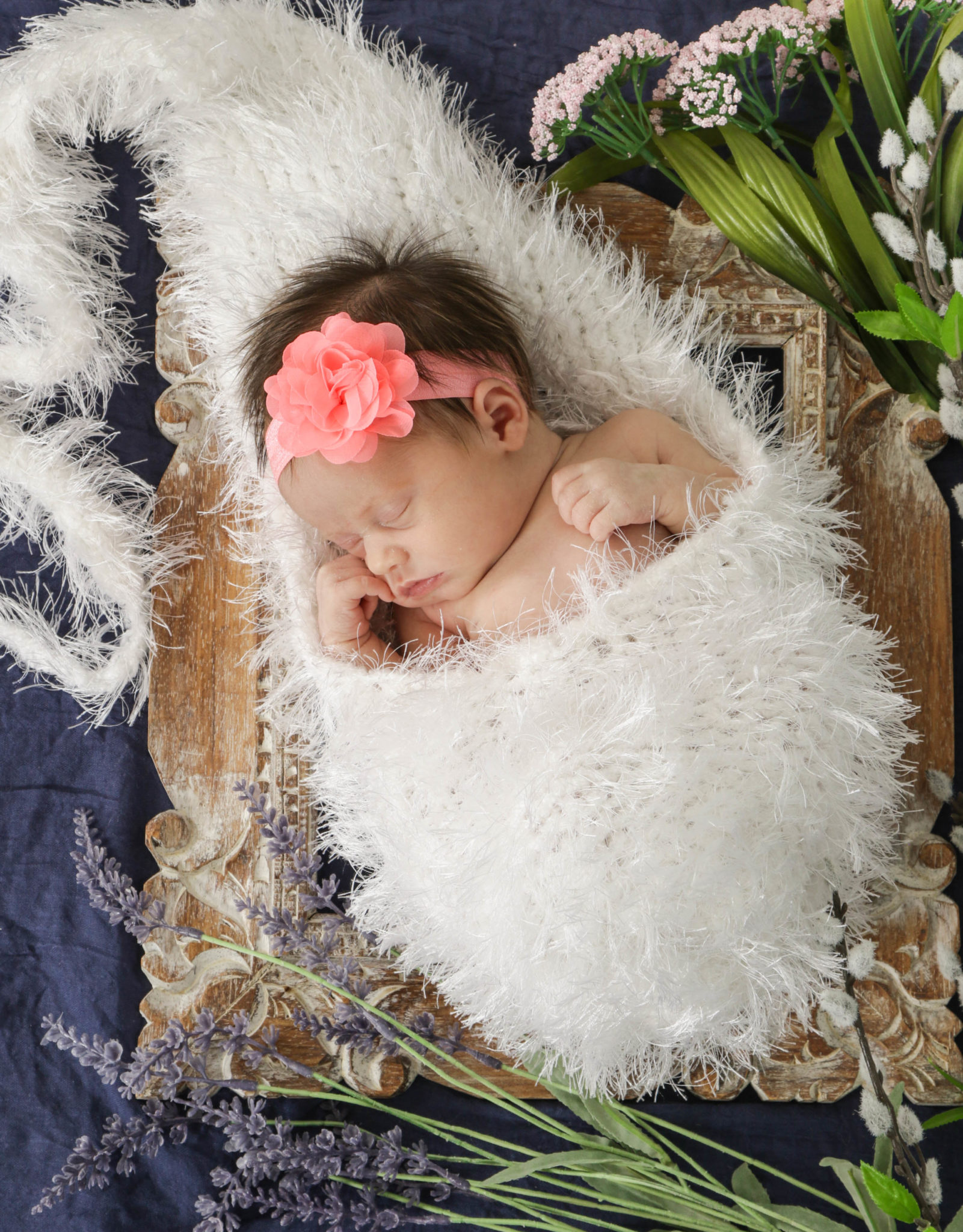Mary Colleen Photography - Mary Colleen Photography